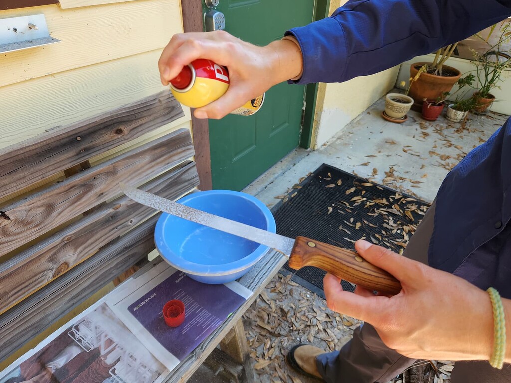 Extending storage life of recalcitrant seeds - Seed Production and Storage - ECHOcommunity ...