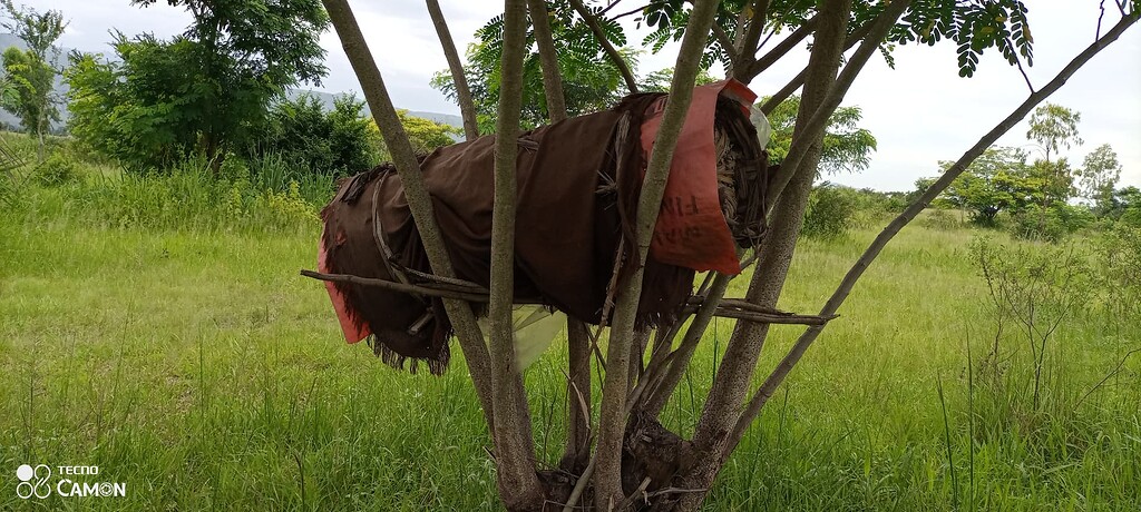 Photos and Process - Beekeeping - ECHOcommunity Conversations