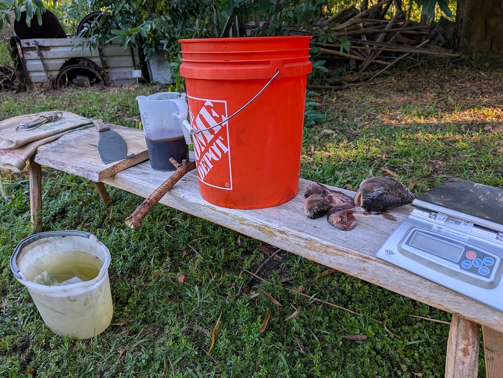 Homemade Fish Biofertilizer - Crop Nutrition - ECHOcommunity Conversations