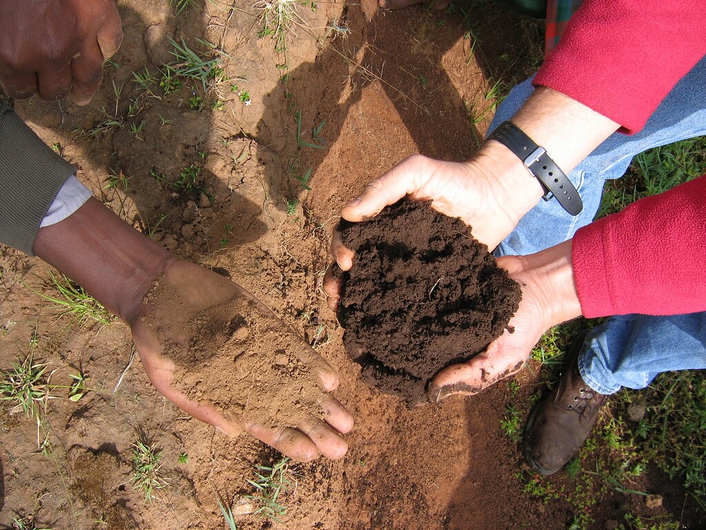 Soil Protein as an Indicator of Soil Health - Research Updates ...